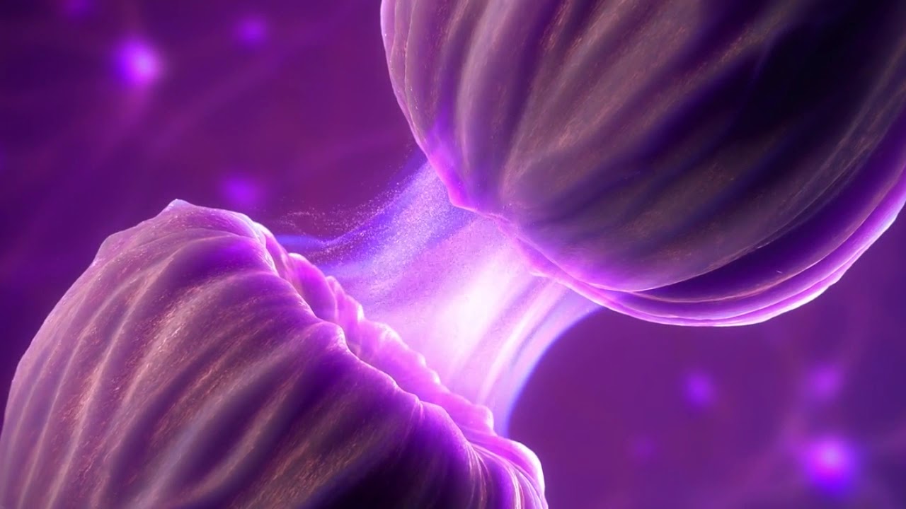 Diempec Test - YouTube