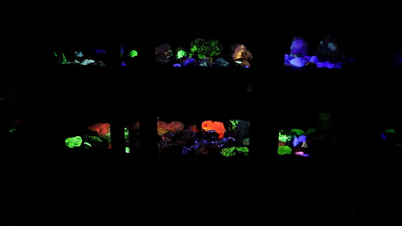 UV MINERALS CABINET - featuring Engenious Designs LNKR Longwave Mineral ...