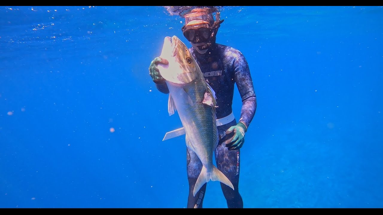 Fiji Spearfishing, Surfing & Freediving: Jobfish, Wahoo, Mu, Cloudbreak ...