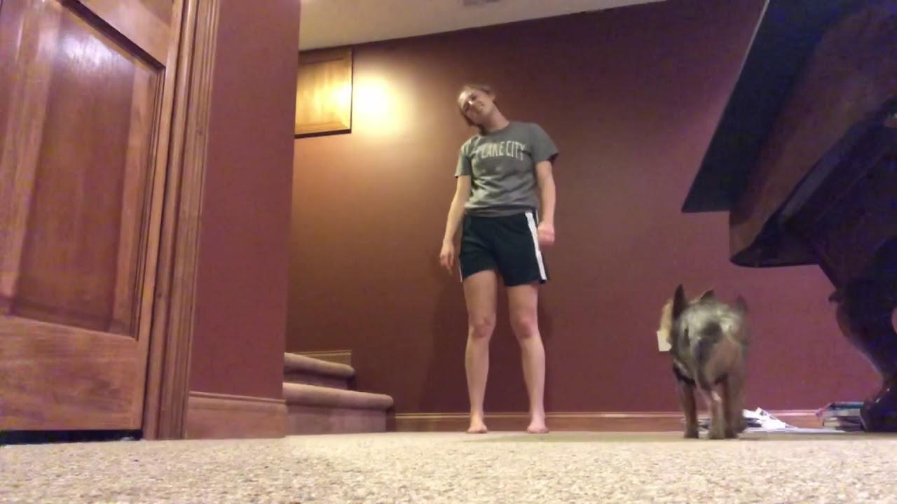 Gymnastic Tutorial | Handstand #07 | Full HD - YouTube