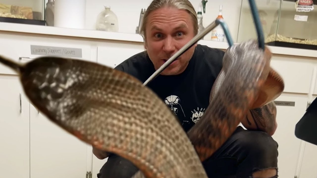 HANDLING SOME VERY DEADLY SNAKES!! | BRIAN BARCZYK - YouTube