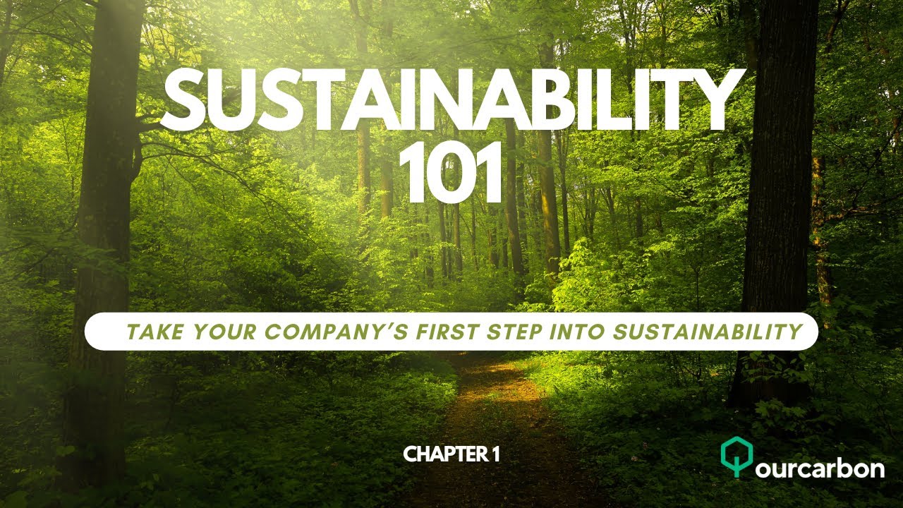 Sustainability 101 - Take your company's first steps into ...