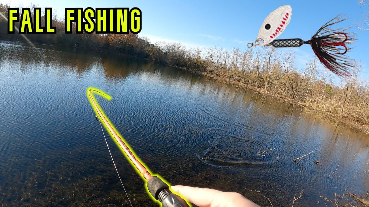Fall Bass Fishing with Rooster Tail (Bank Fishing) - YouTube