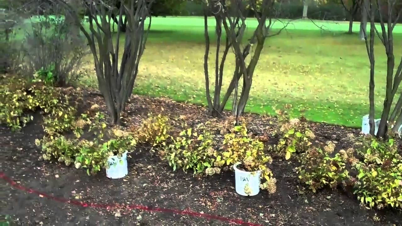 Landscaping on Golf Courses - YouTube
