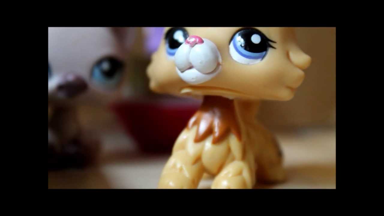 LPS - Crazy Summer [part 8] Suunnitelma - YouTube