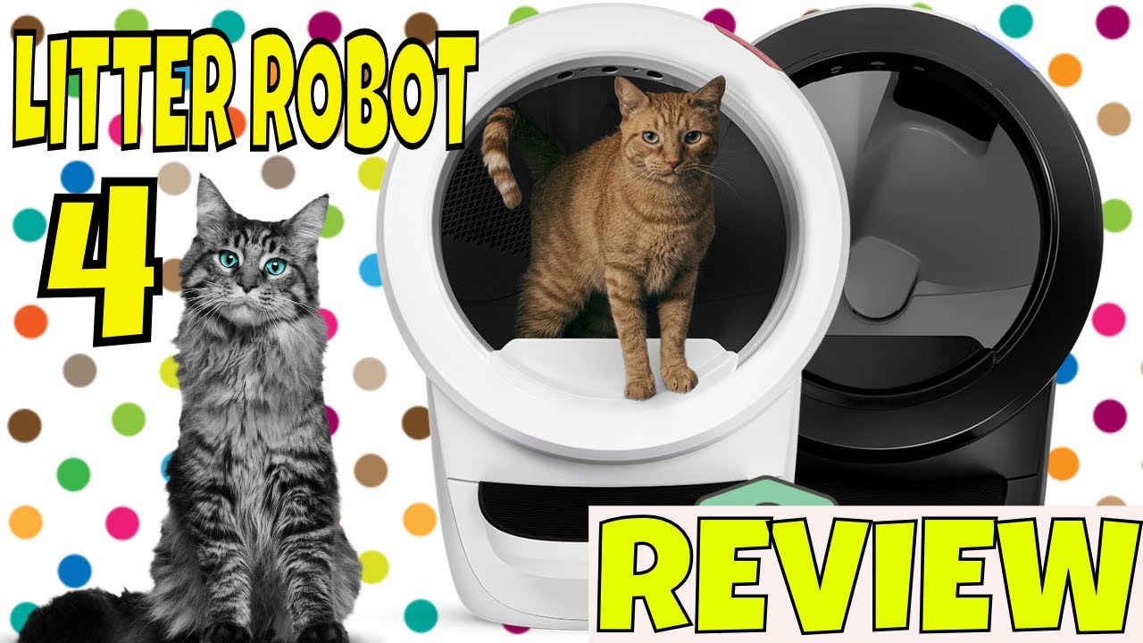 Litter Robot 4 by Whisker - in Depth 30 Day REVIEW - Is it worth it ...