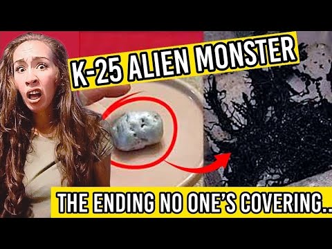 Panama Alien K25: The Venomkin Mystery Explained | Ending Included ...