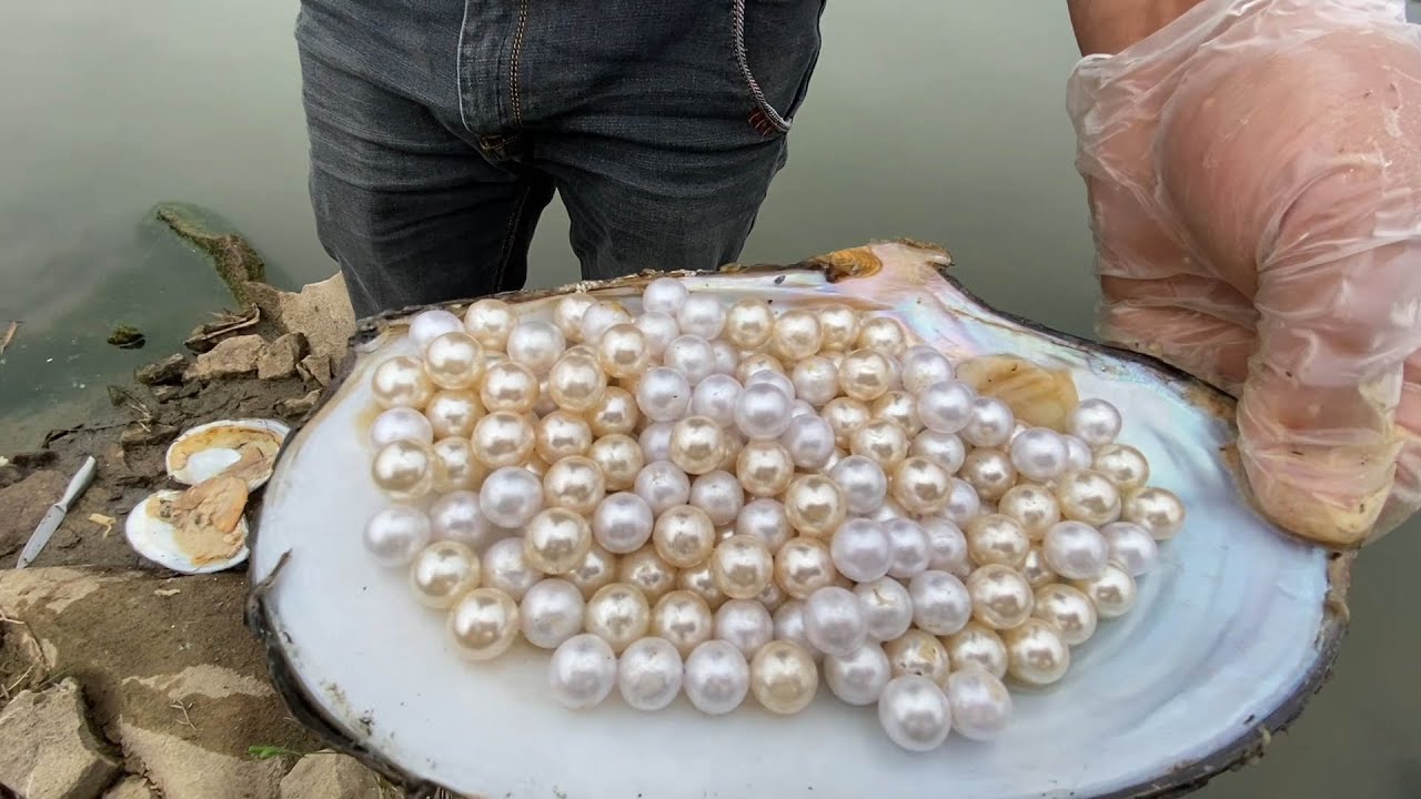 Classic akoya pearls are beautiful, pure white color kan - YouTube