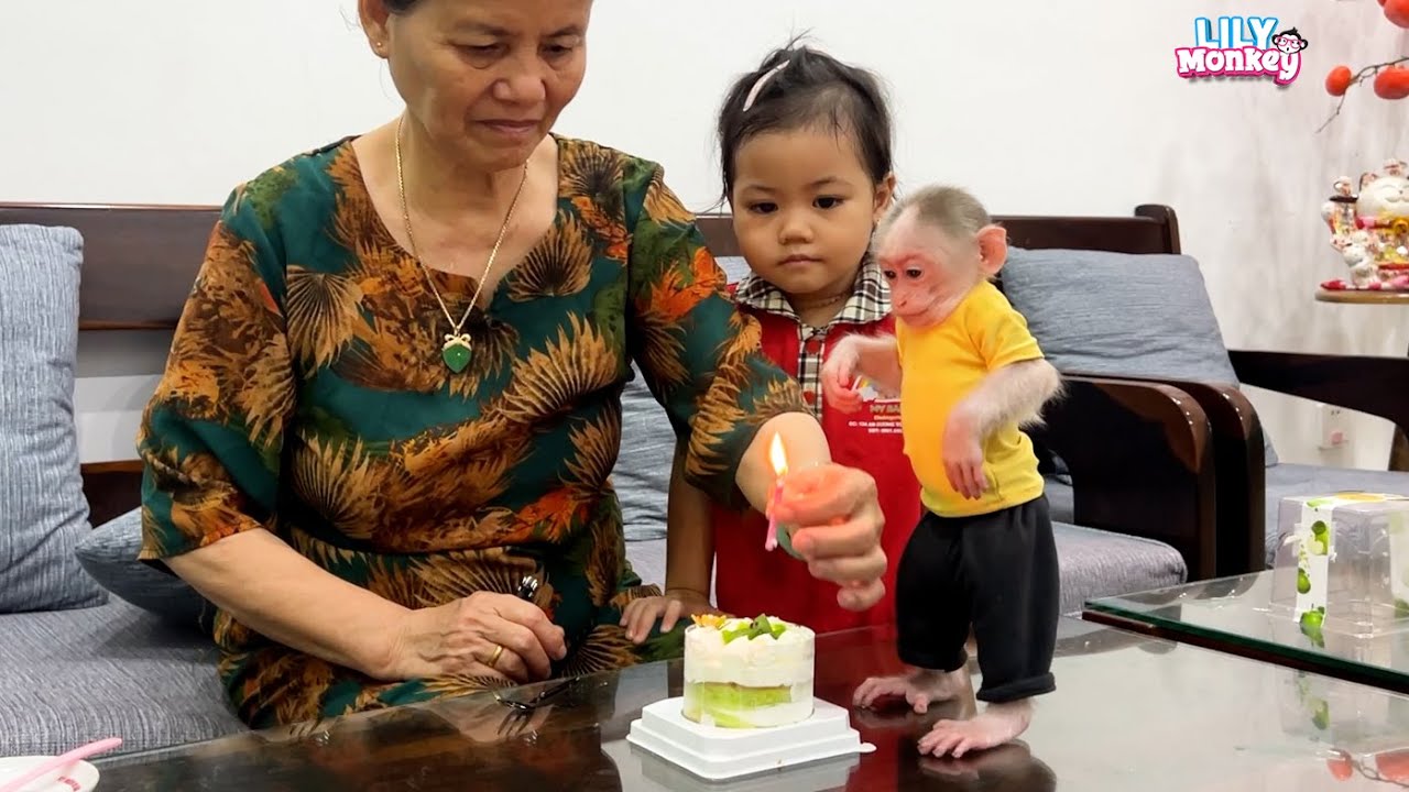 Monkey Lily helps Chun make a birthday cake for grandma - YouTube