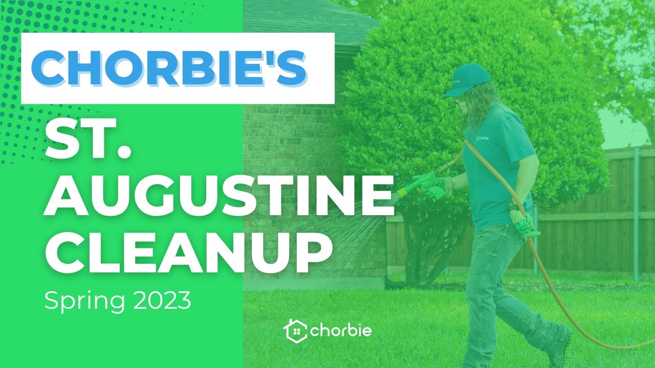 Spring 2023 | St. Augustine Cleanup - YouTube