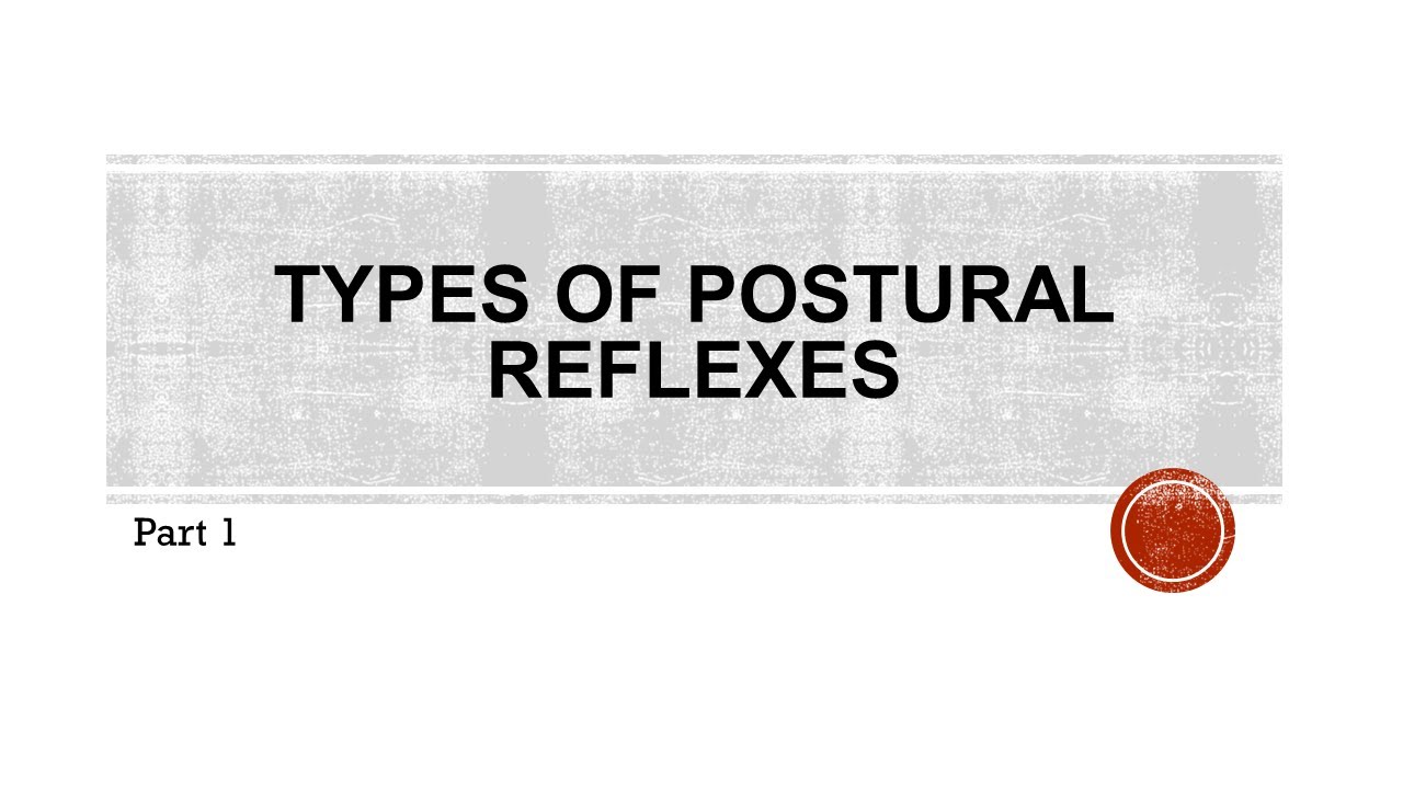 Types of Postural reflexes - Part1 - YouTube