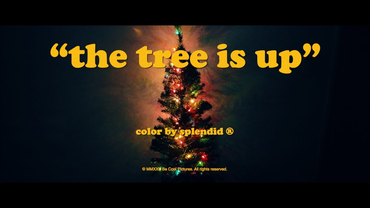 The Christmas Tree Is Up 🎄 | Life in Los Angeles - YouTube
