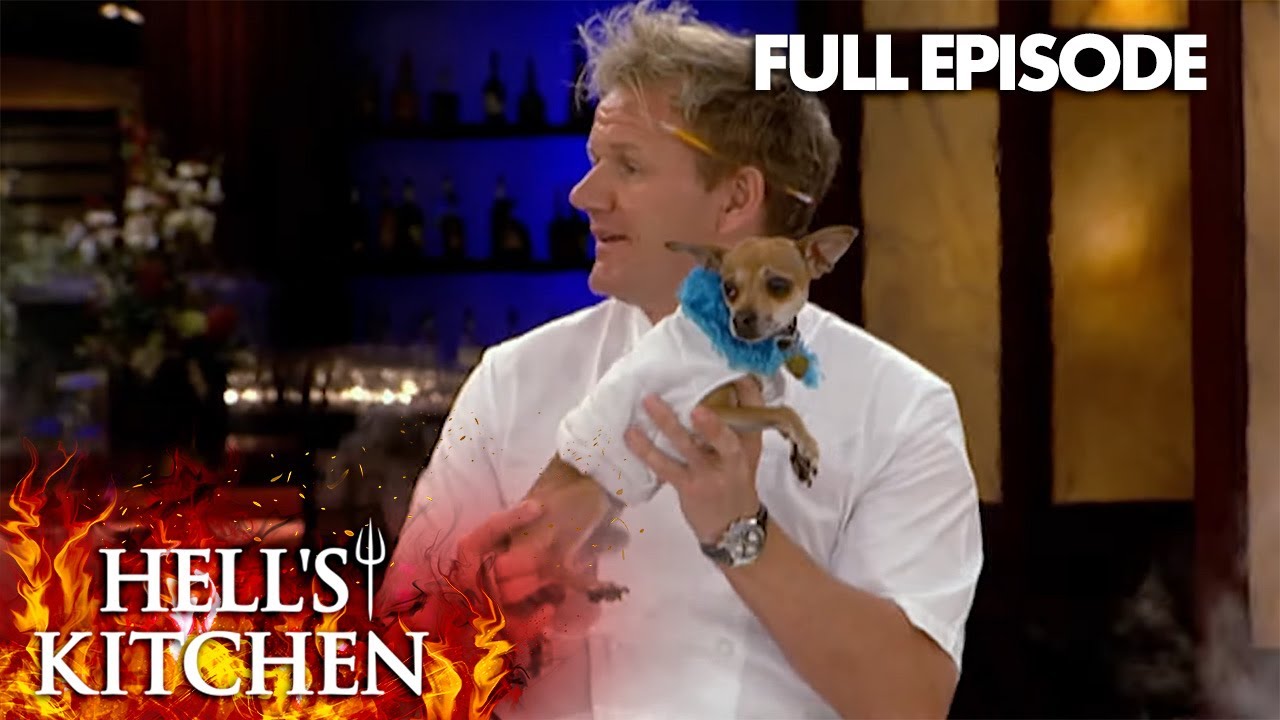 Real Housewives of Hell's Kitchen 💅 | Hell's Kitchen US | Full Episode ...