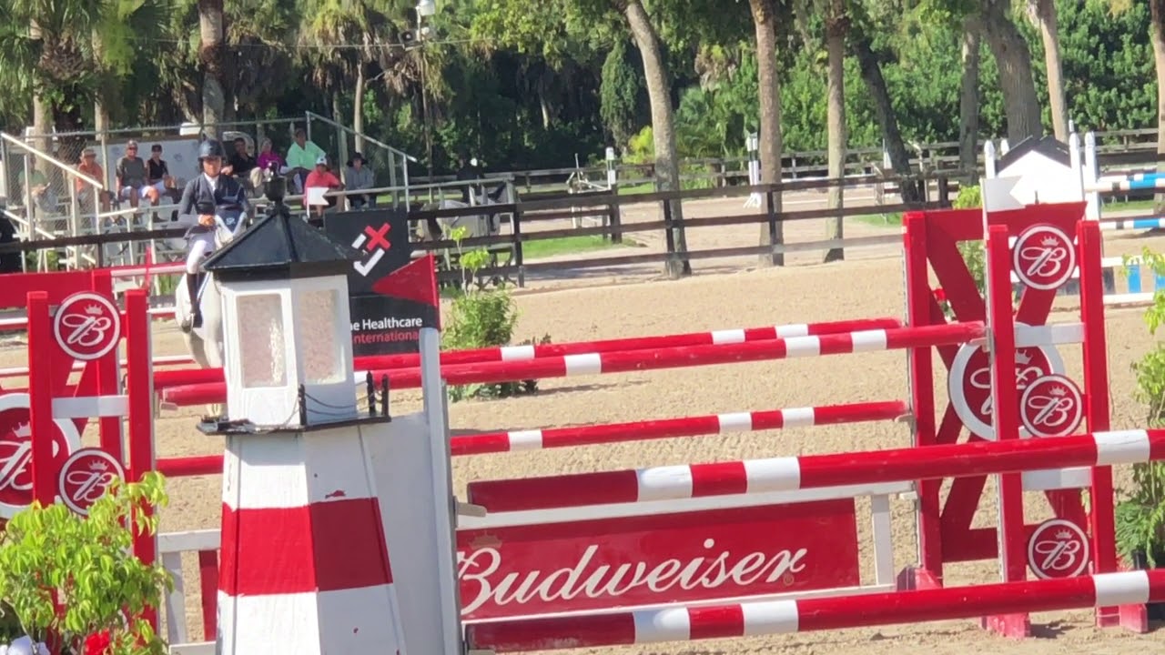 Desperado Fox Lea Farm Grand Prix - YouTube