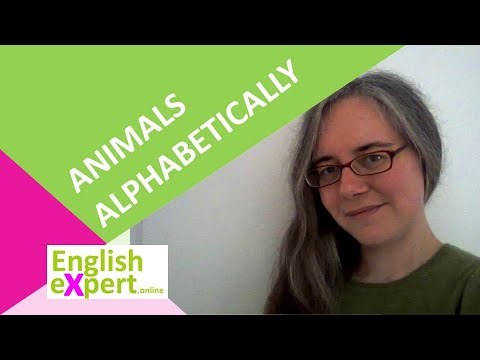 Animals Alphabetically - EnglishExpert.online - YouTube