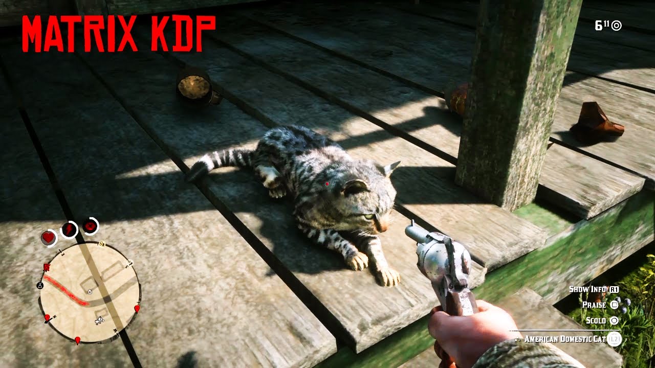 Red Dead Redemption 2 | Cat vs. Bullets | 2023 - YouTube