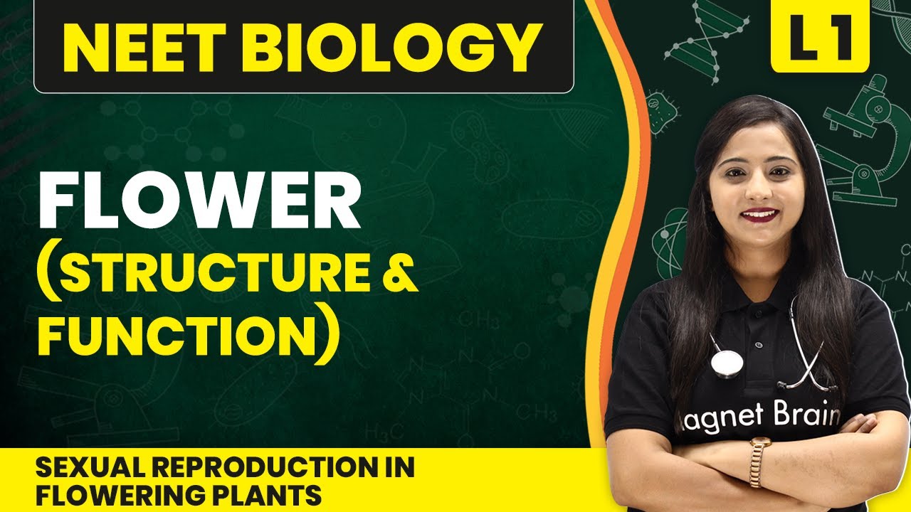 Flower (Structure & Function) | Sexual Reproduction In Flowering Plants ...