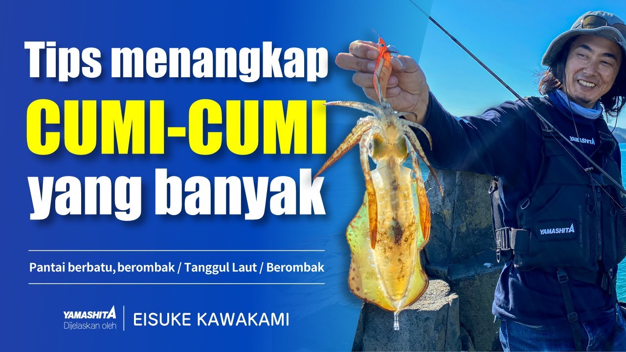 【Dijelaskan oleh EISUKE KAWAKAMI】Tips menangkap cumi-cumi yang - YouTube
