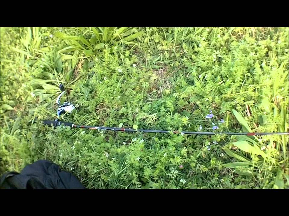 Fishing with Monster Jam Announcer - YouTube