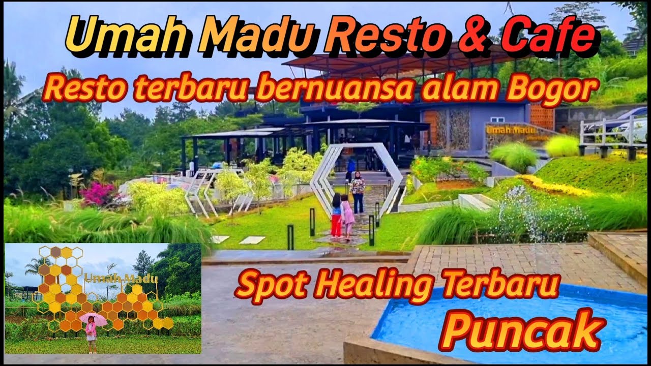 Resto cafe terbaru di bogor puncak bernuansa alam menyerupai sarang ...