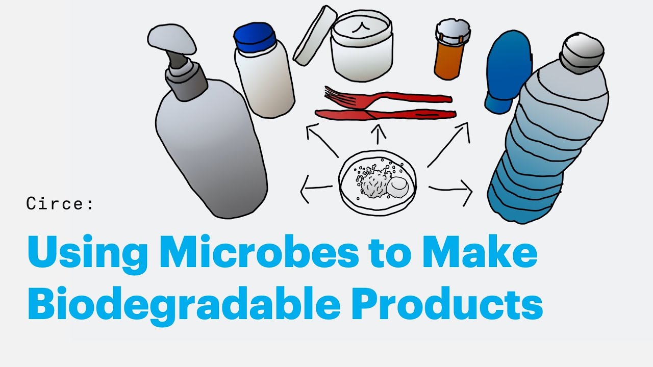 Circe: Using Microbes to Make Biodegradable Products - YouTube