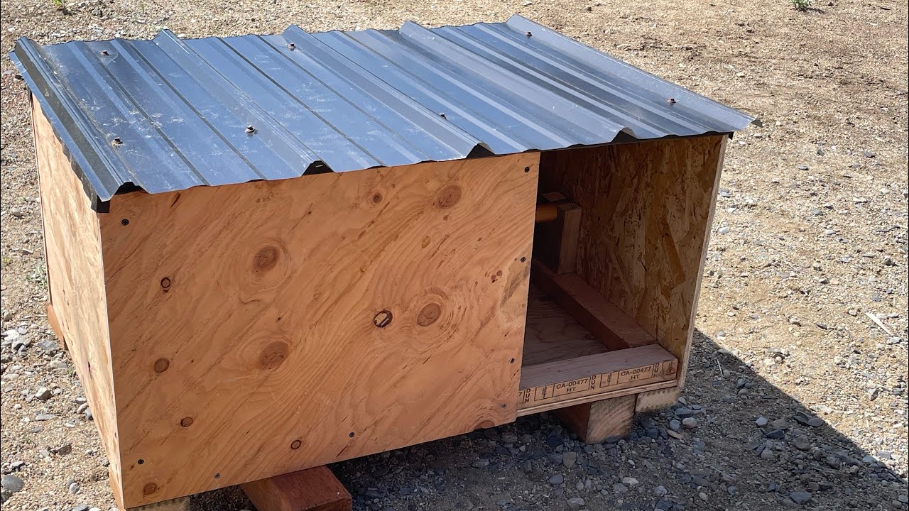 We Built a Mini Chicken Coop - YouTube
