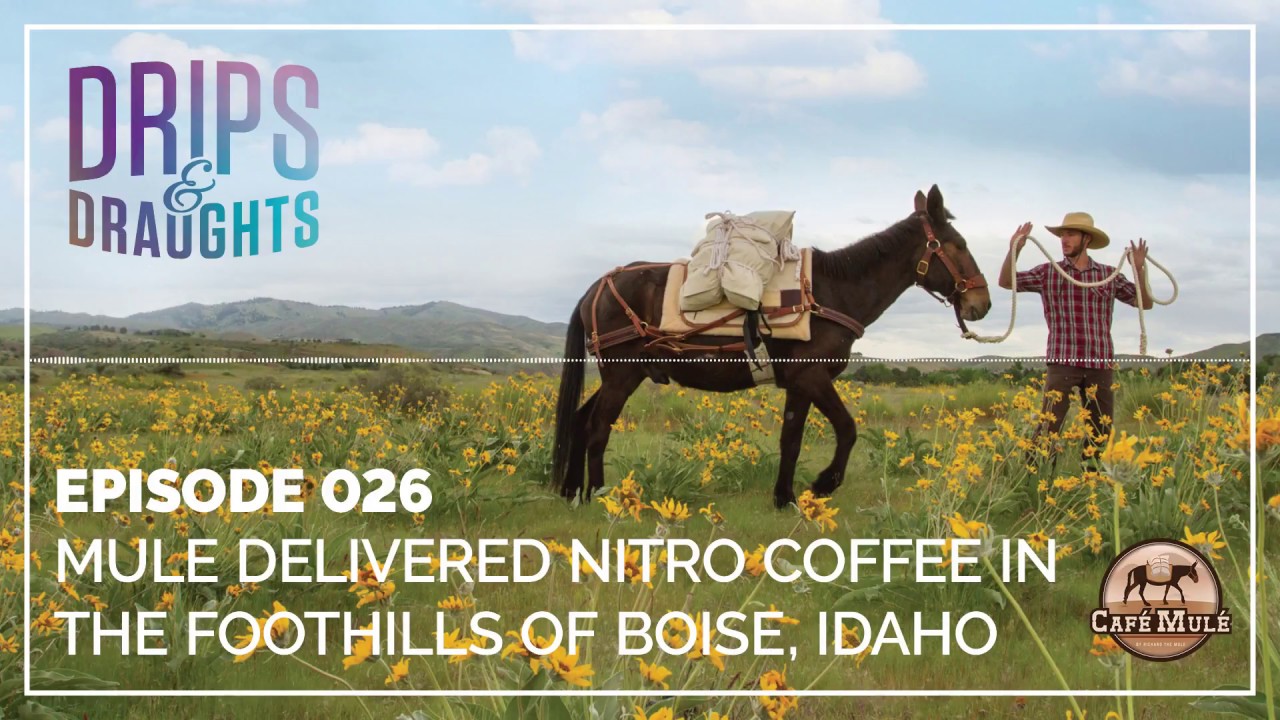 Café Mulé: Mule Delivered Nitro Coffee in the Foothills of Boise, Idaho ...