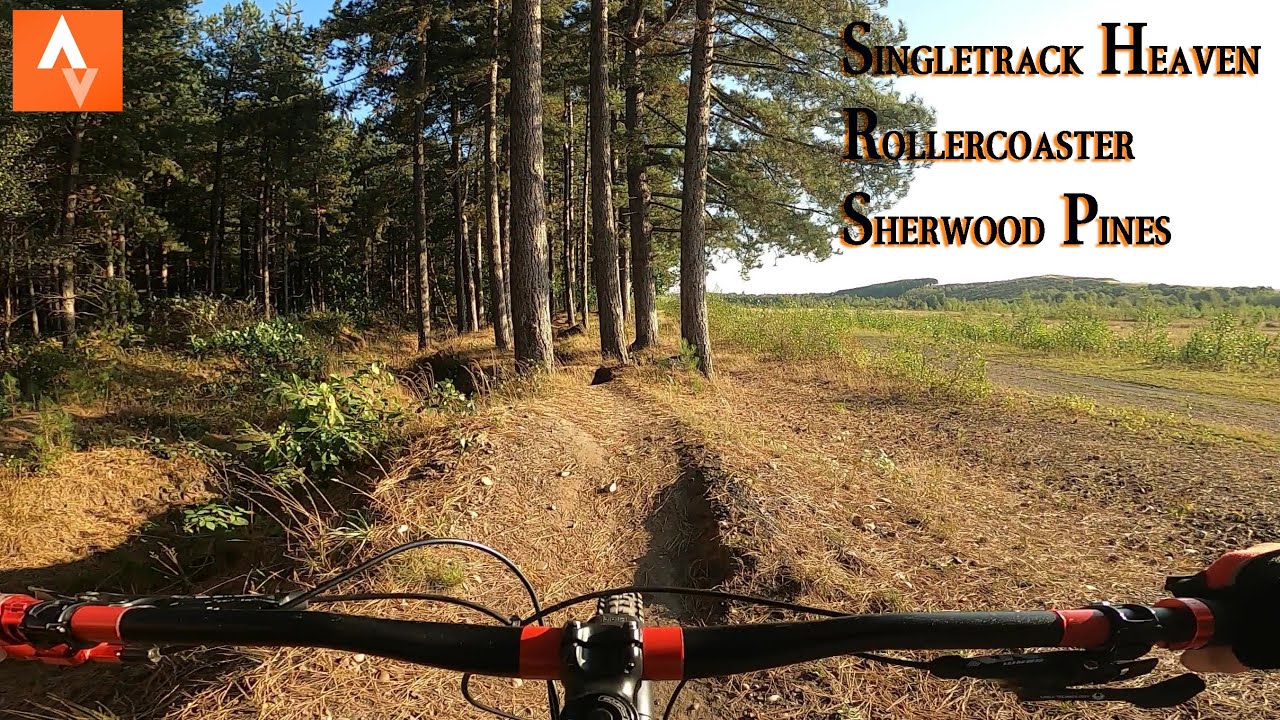 GoPro MTB: Single Track Heaven & Roller Coaster STRAVA Segments ...