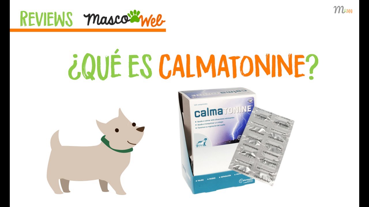 Calmatonine ¿Qué es y para qué sirve? - YouTube