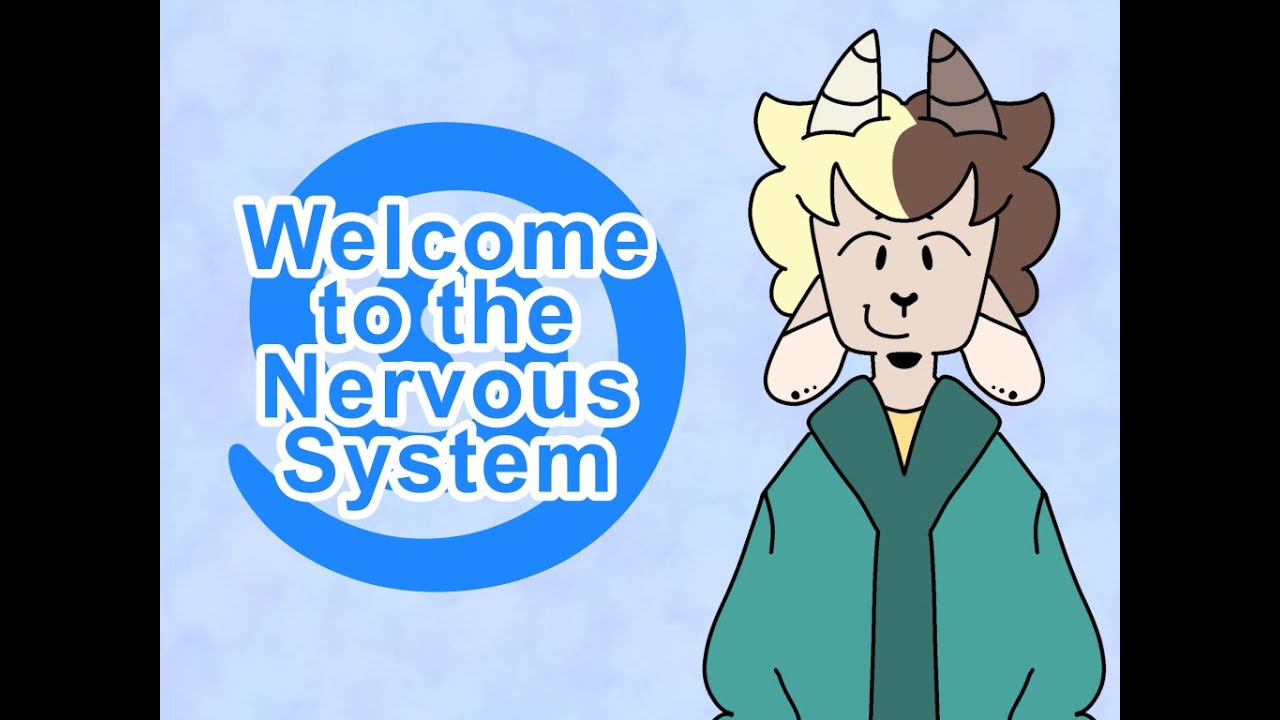 Welcome to the Nervous System - YouTube