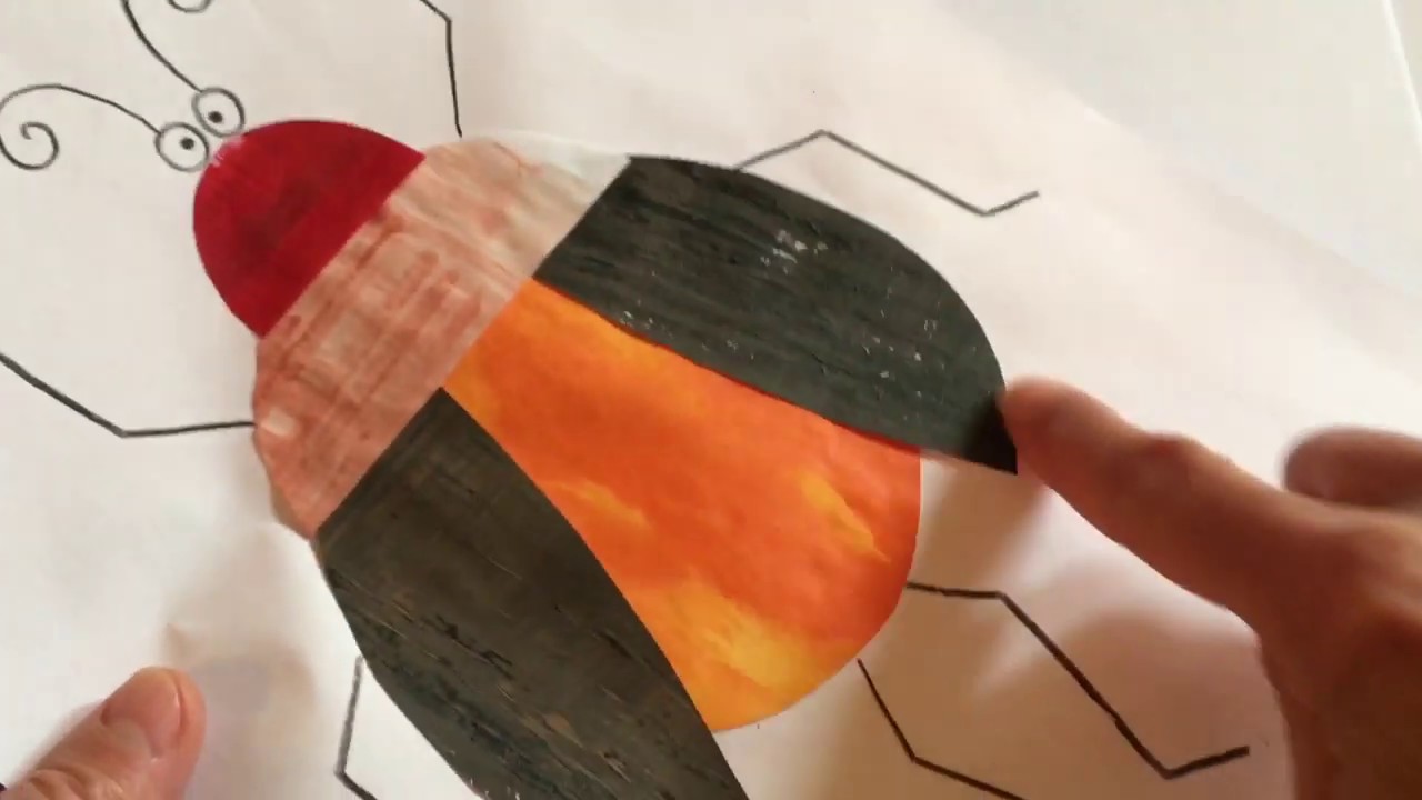 GLI INSETTI COLORATI - YouTube