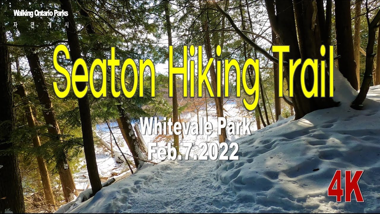 [4K] Seaton Hiking Trail, Whitevale Park, #2, [2022.02.07] - YouTube