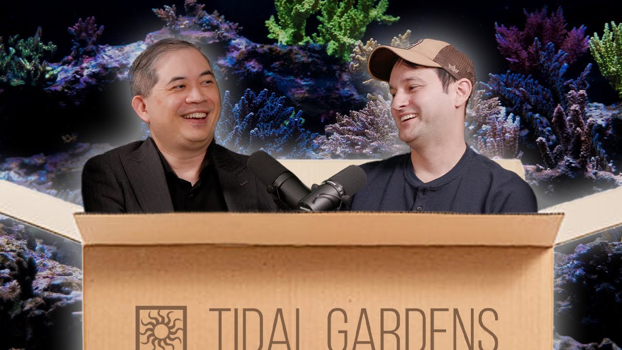 Live Coral Shipping Secrets (w/ David Lemus Part II) | Tidal Gardens ...