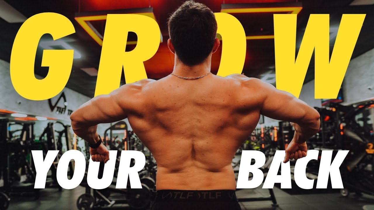 5 Best Exercise to Build a Bigger Back Back workout #youtube # ...