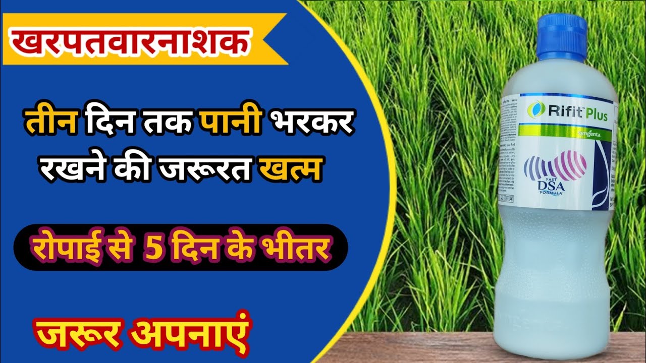 rifit plus herbicide | rifit plus syngenta | rifit plus dsa | rifit ...