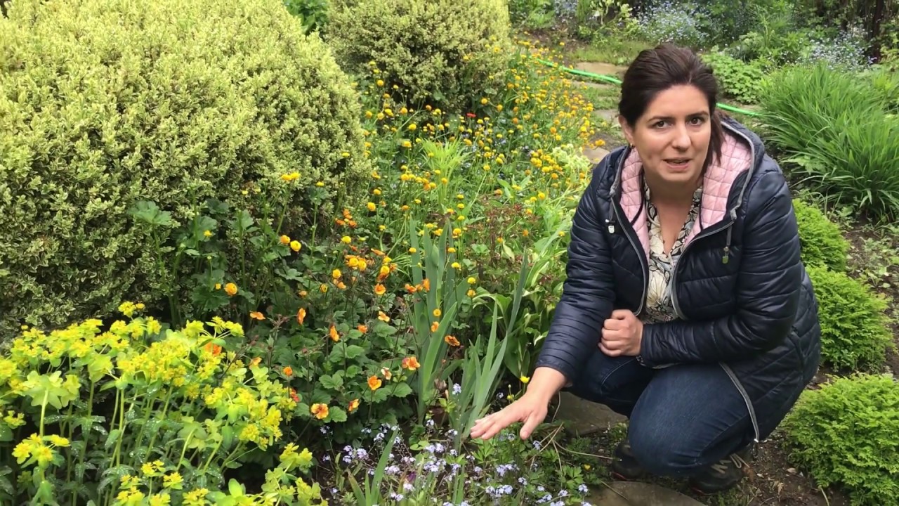 Wiosenna rabata bylinowa - YouTube