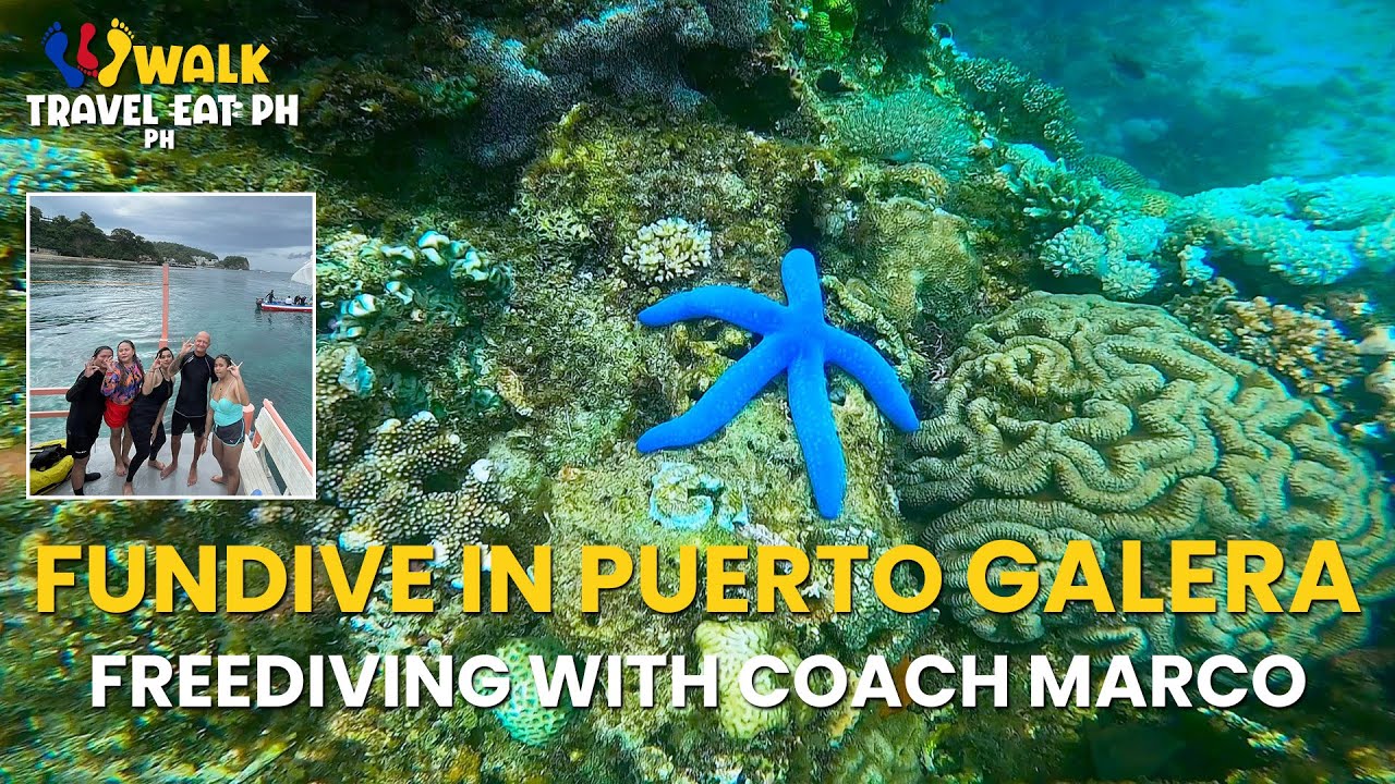 SABANG PUERTO GALERA Fundive with Freediving with Coach Marco - YouTube