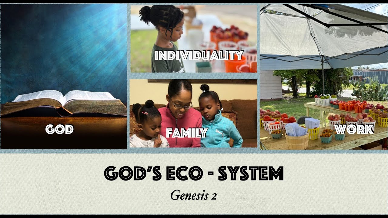 God's Ecosystem: Work, for the Night Is Coming! - YouTube
