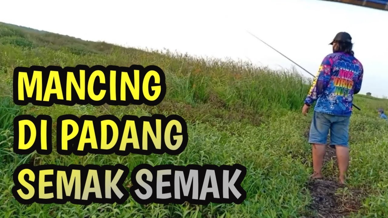 MANCING DI PADANG SEMAK SEMAK - YouTube