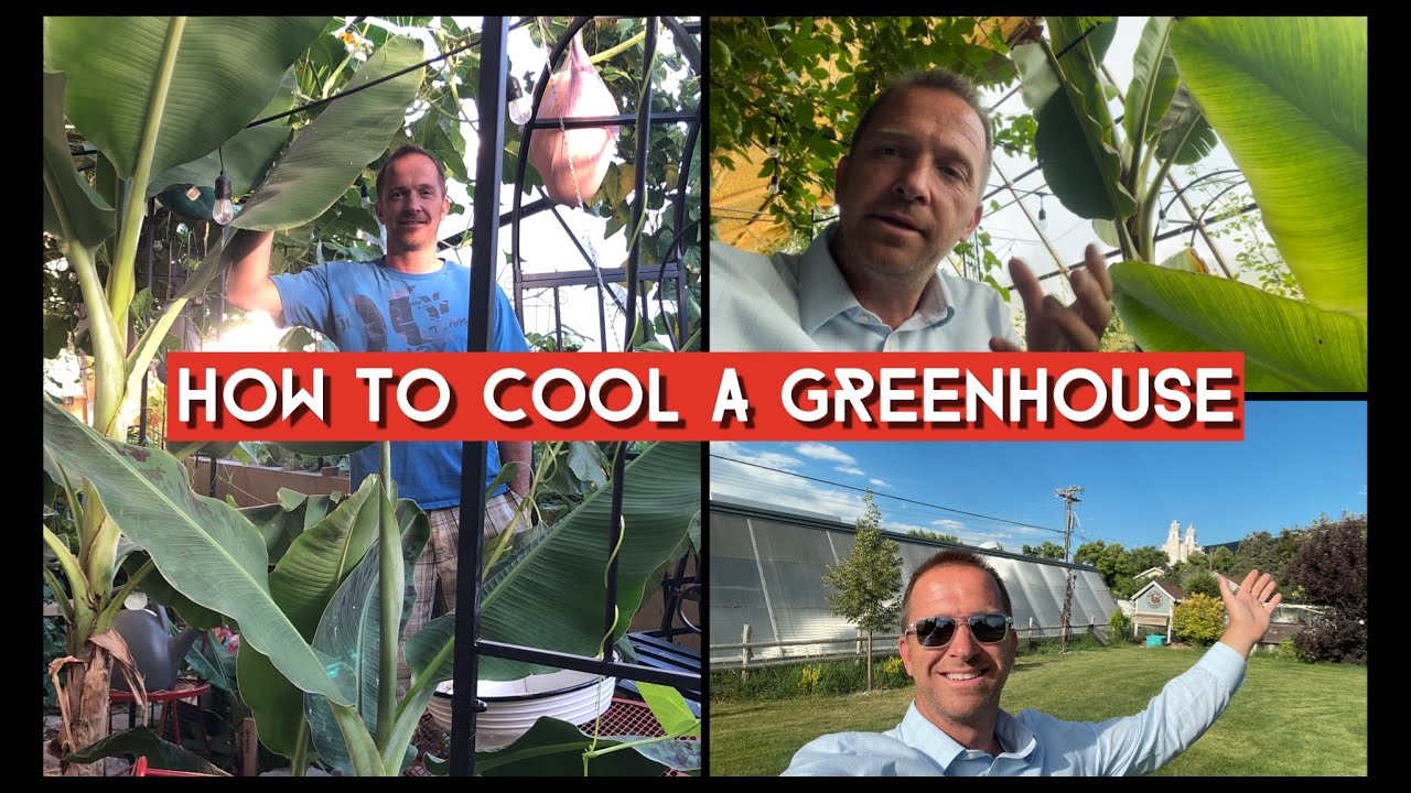 How We Keep Our Greenhouse Cool-Off Grid! - YouTube