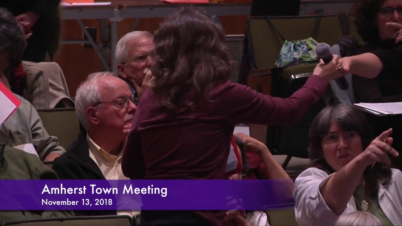 Article 14 - North Amherst Library - 18 Marcy Sklove & Paul Bockelman ...