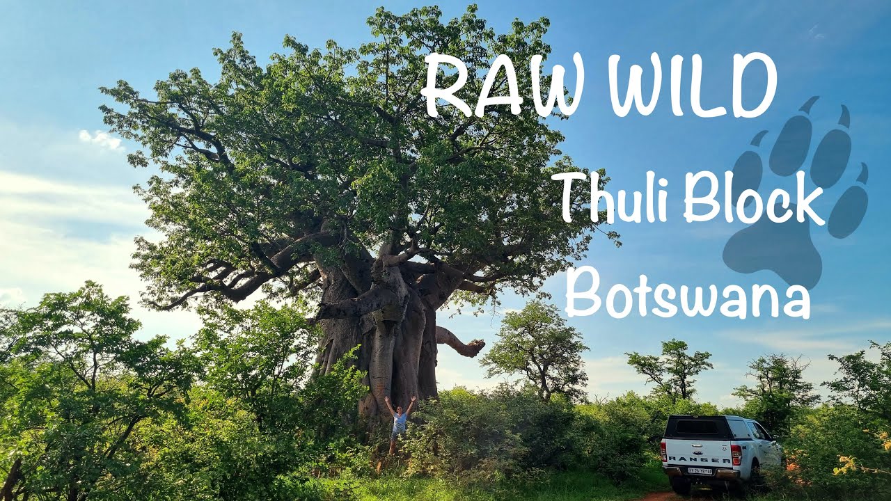 Thuli Block - Episode 1 - YouTube