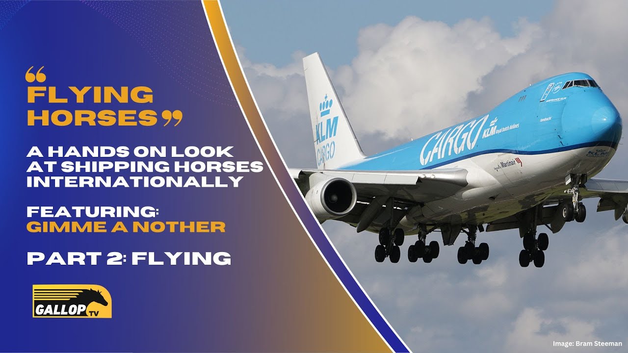 Gallop TV - Watch Live Horse Racing Free