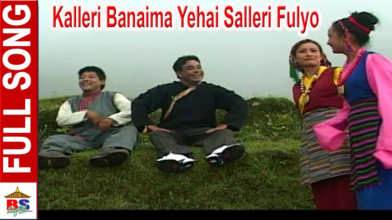 Kalleri Banaima Yehai Salleri Fulyo | Jayananda Lama | Full Song - YouTube