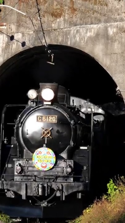 【D51復活35周年水上】C61-20代走！小松トンネル飛び出し[JR EAST Joetsu-line] Steam locomotive Class C61−20 in autumn ...