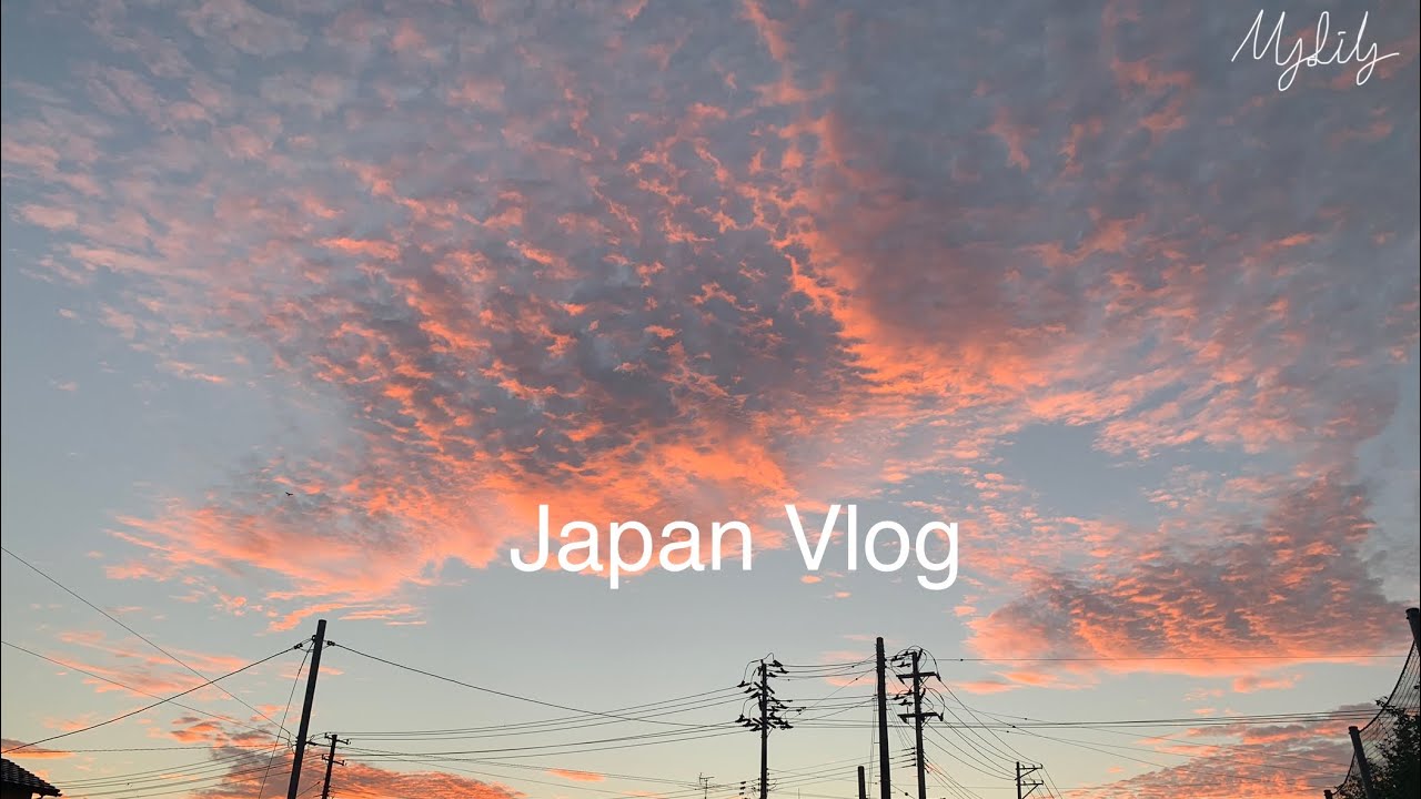 Japan Vlog | 일본 시골 동네 새벽 산책하기. 떠오르는 해를 바라보며 하루 시작! - YouTube