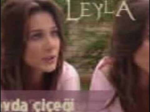 sevda çiçeği - YouTube Music