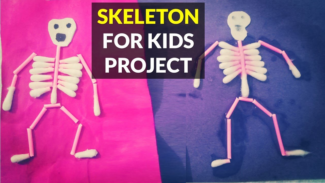 How To Make A Human Skeleton For Kids Project Very Easy Kids Project how-to-make-a-human-skeleton-for-kids-project-very-easy-kids-project
