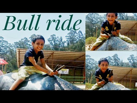 Bull ride | Anu's first bull ride memories | mechanical bull ride game ...