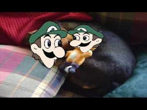 Don't Buy Weegee Toys! - YouTube